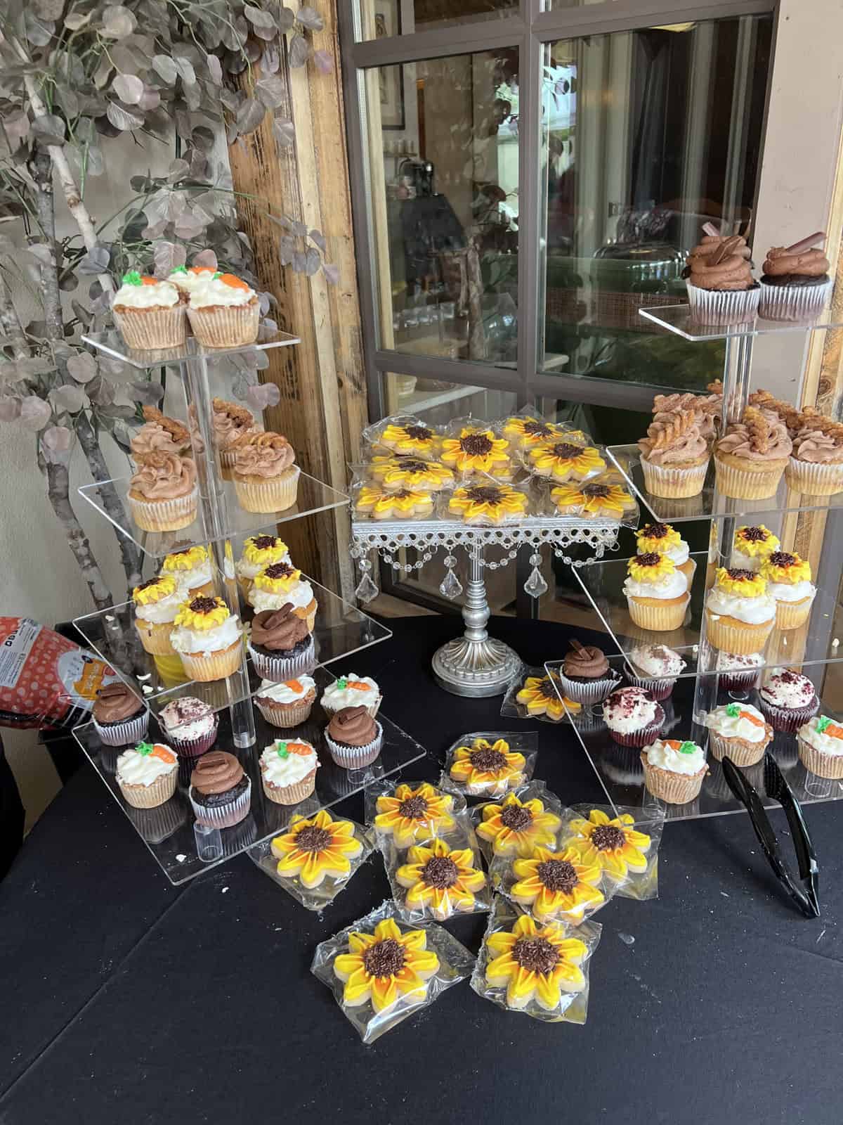 Celebration of life, Phoenix| Celebration of Life Funeral Planning